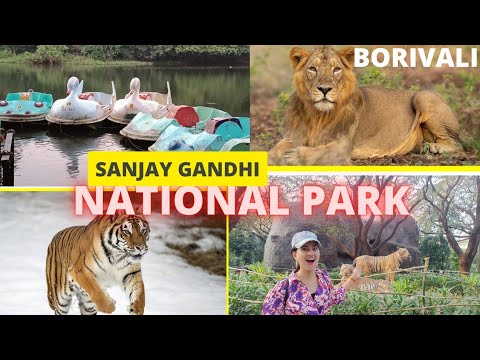 Sanjay Gandhi National Park Borivali | Tiger & Lion Safari | Mumbai ...
