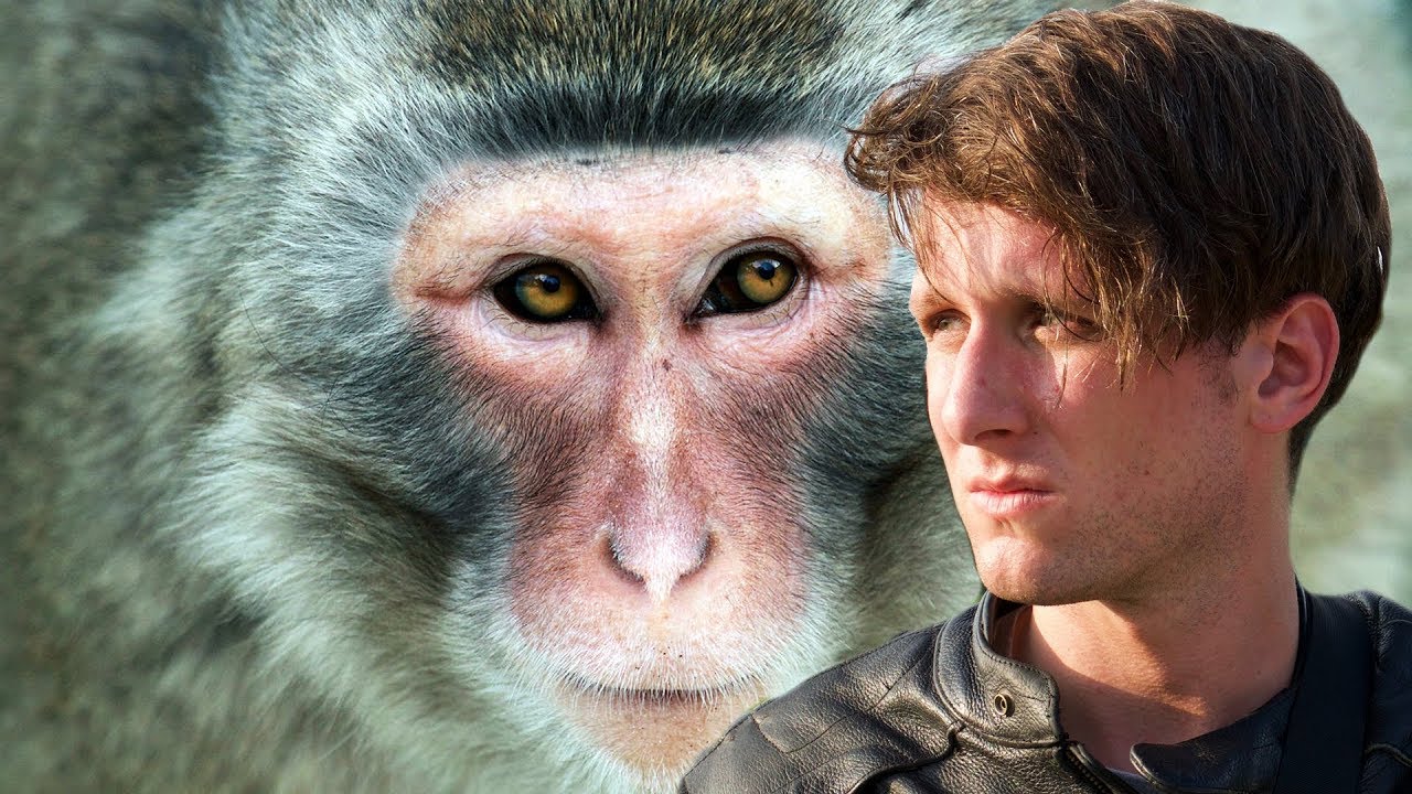 China is Eating Monkey Meat for Medicine - YouTube