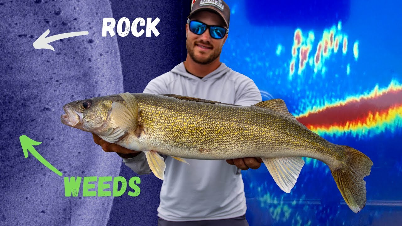 CRUSHING BIG Schools of Walleyes | June Walleye Fishing Locations ...