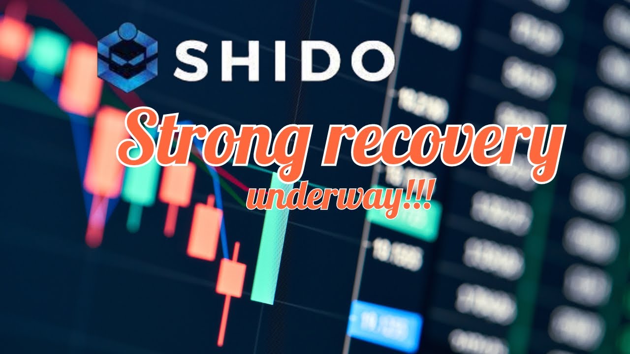 SHIDO MAKES A STRONG RECOVERY! ONLY UP FROM HERE! - YouTube