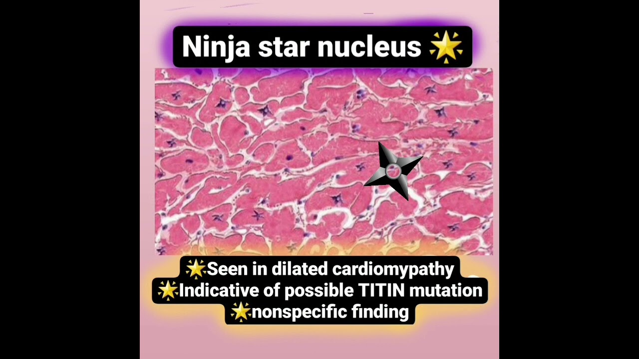 NINJA STAR NUCLEUS - YouTube