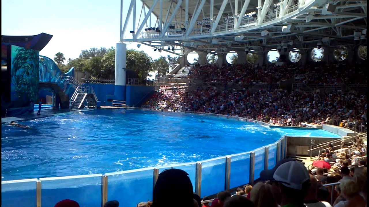 Ocean one - sea world part one - YouTube