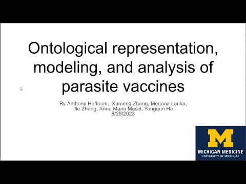 VDOS2023 Talk#1 Anthony - Ontological representation, modeling, and ...