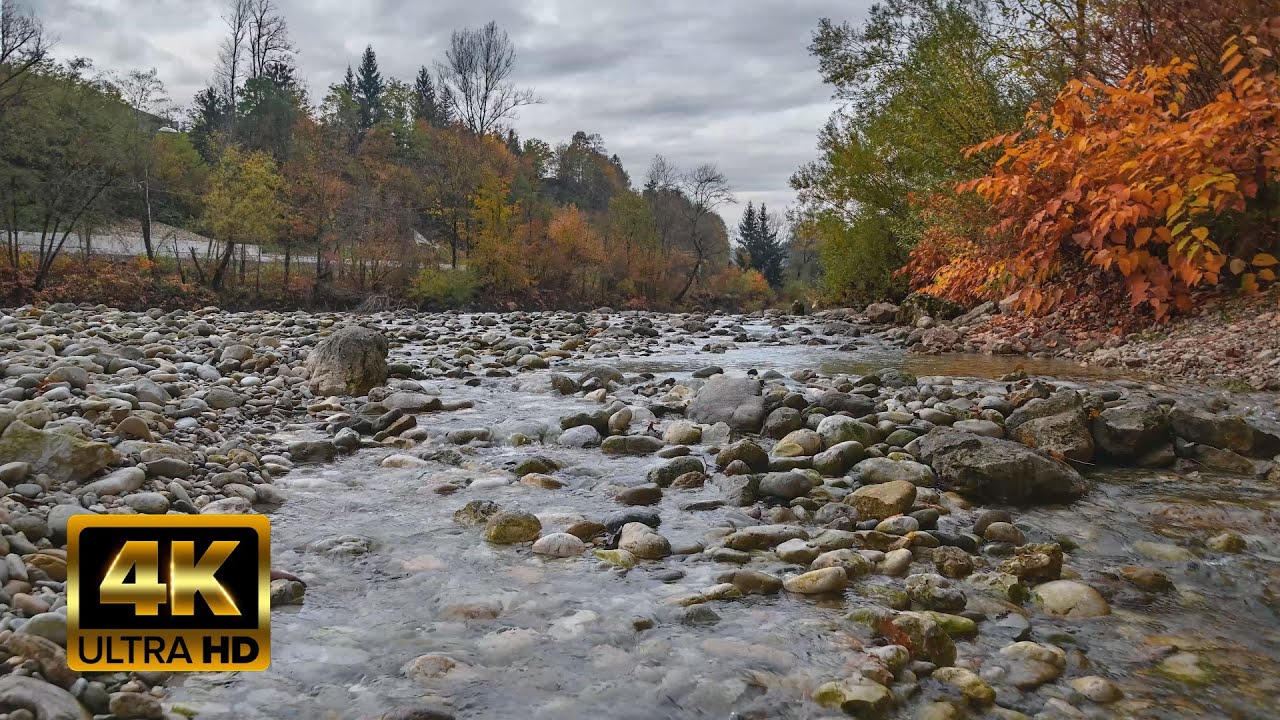 Autumn River In Amazing Colours - ASMR Relaxation Video - 8 hours in 4k ...