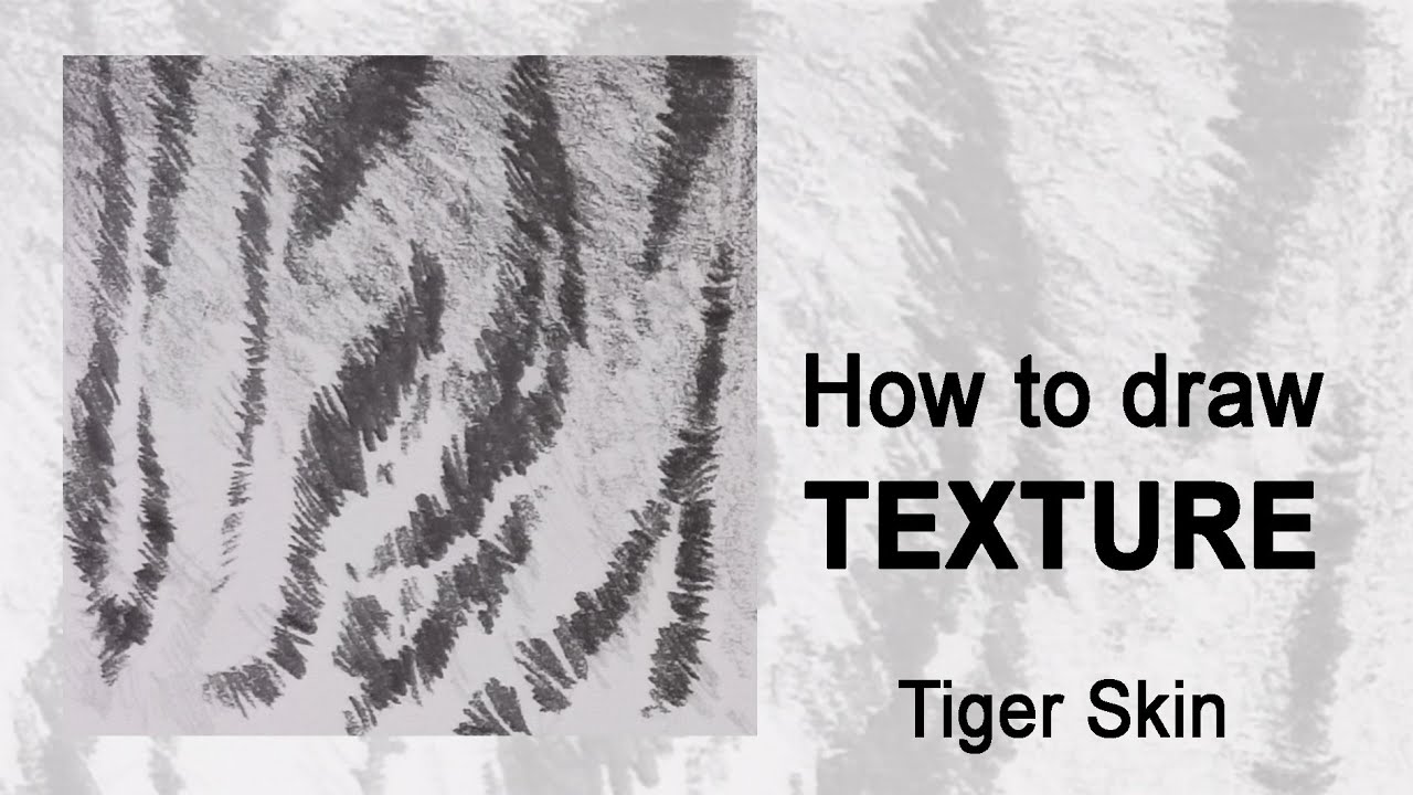 How to draw Texture | Tiger Skin | Pencil Sketch - YouTube