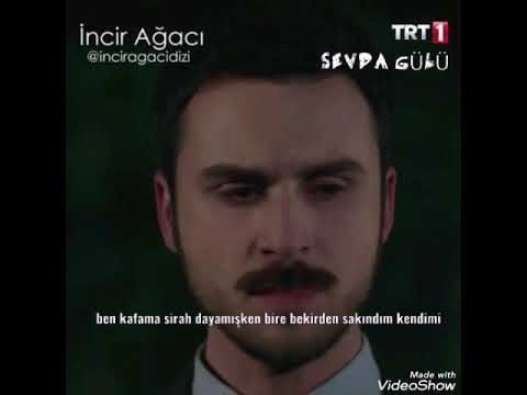 İncir Ağacı Duyğusal klip