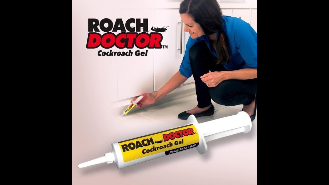 Cockroach Gel (Roach Doctor) - YouTube