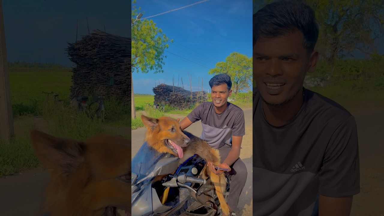 Runban thmbi 🫂♥️ #trending #dog #jacky #dogowner #doglover #viral # ...