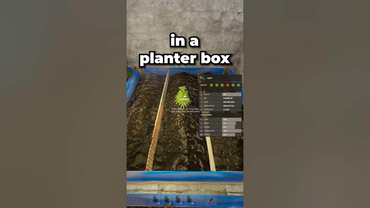 How To EASILY Get God Clones in Rust! 🌱🙏 - YouTube