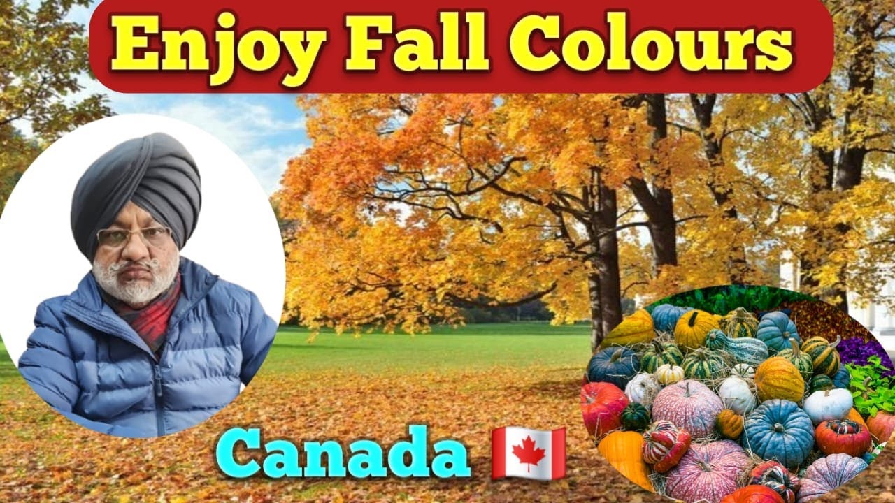 Experiencing Canada’s Magical Fall Season 🍂 | Autumn Travel Vlog - YouTube
