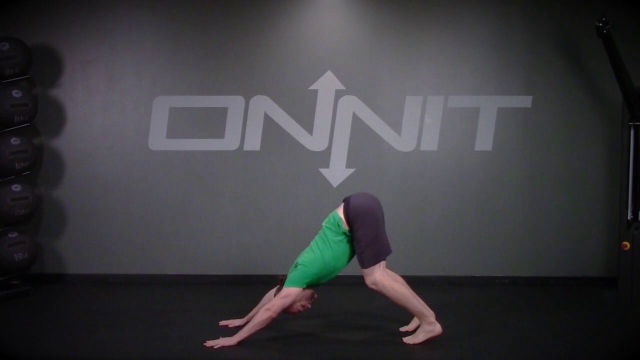 Downward Facing Dog Stretching Exercise - YouTube