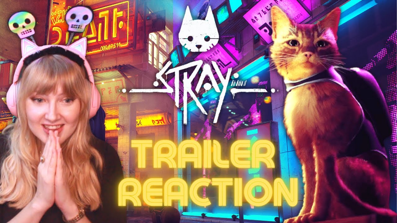 STRAY - Official Trailer First Reaction 🙌 - YouTube