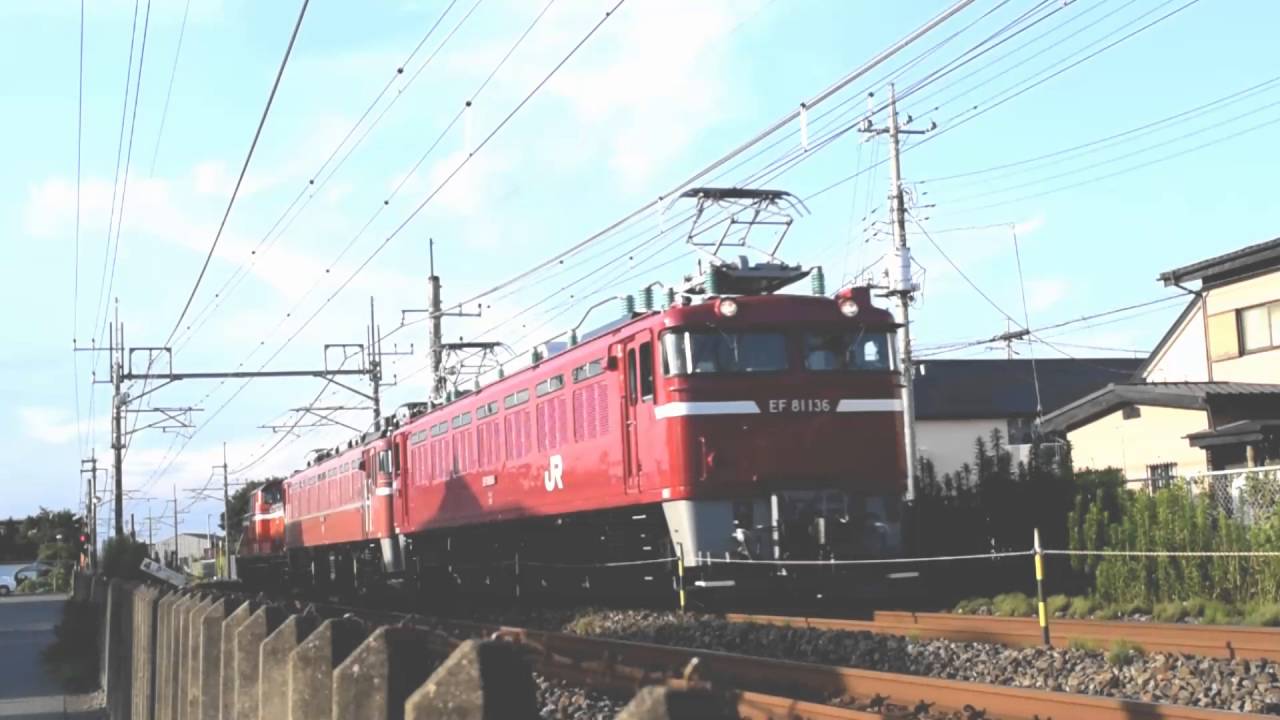 EH500-1 EF81-136によるEF81-81とDD51-842の甲種輸送 EF81-80カシオペア - YouTube