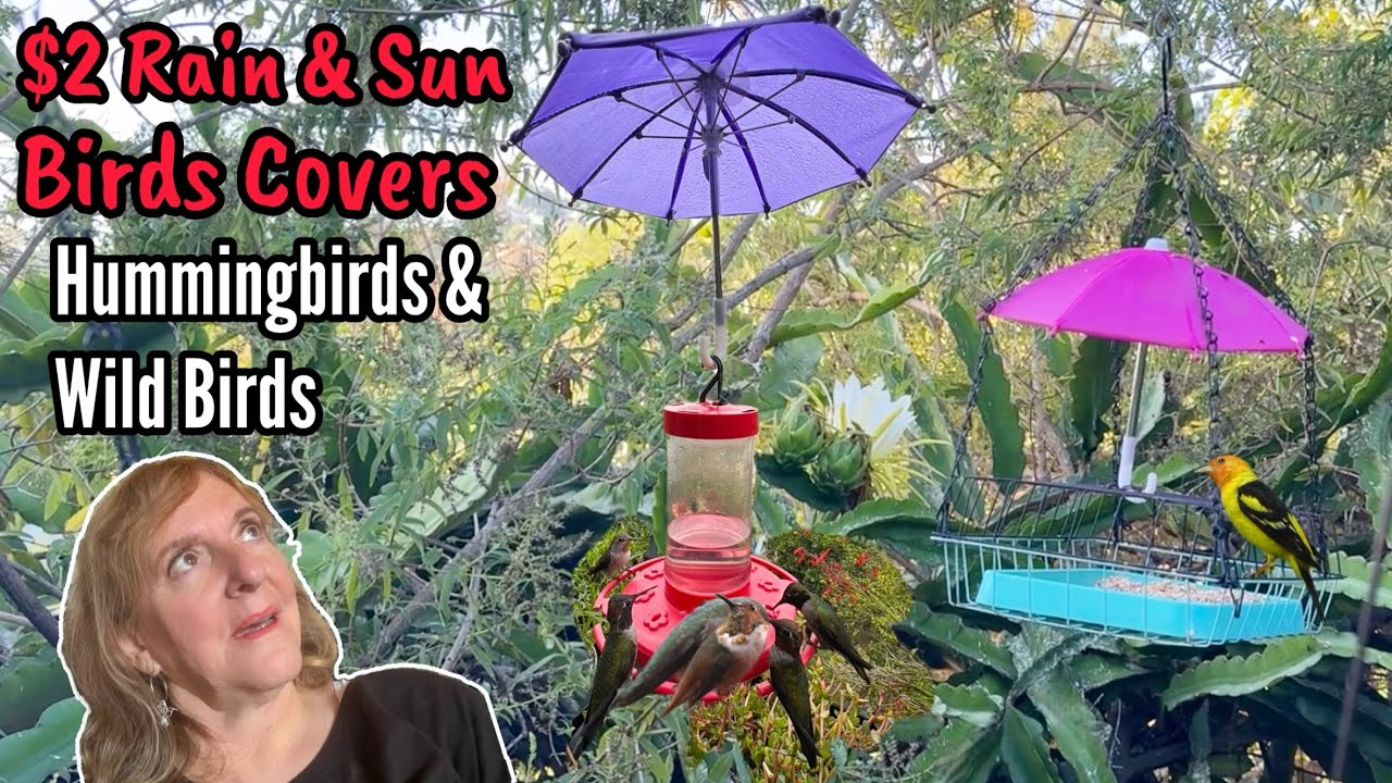 $2 Wild Bird & Hummingbird Feeder Cover for Rain & Sun GREAT to Protect ...