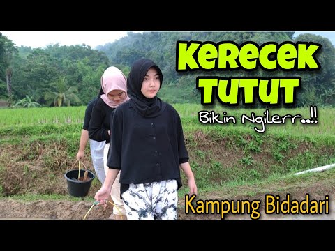 Masak Tutut Di Sawah Bersama 3 Gadis Desa Kampung Bidadari