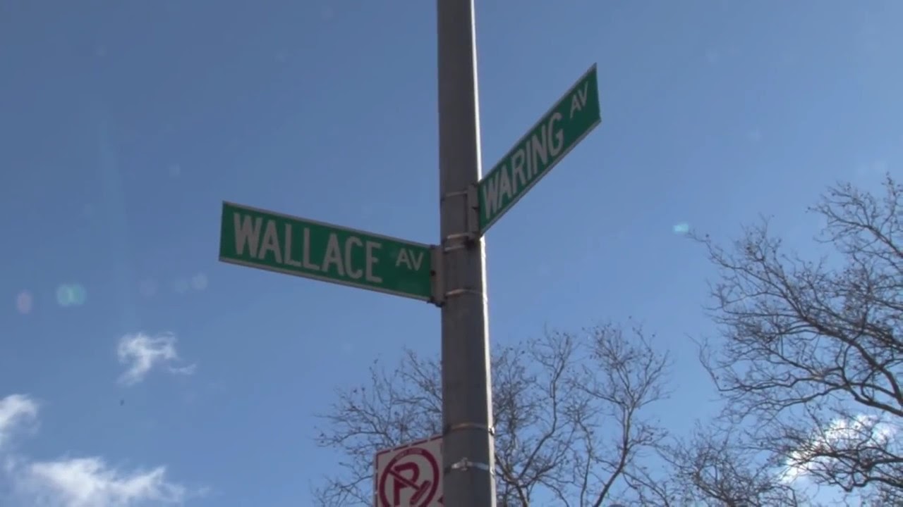 Pelham Academy of Academics and Community Engagement - YouTube