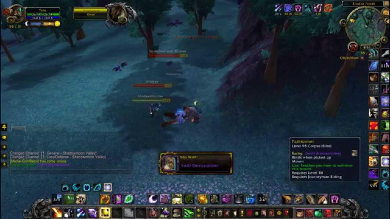 WoW - How to: Swift Breezestrider (Rare: Pathrunner) - YouTube