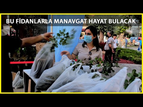 DHA'nın 'Yangın Yeri' Sergisinde 5 Bin Fidan Dağıtıldı