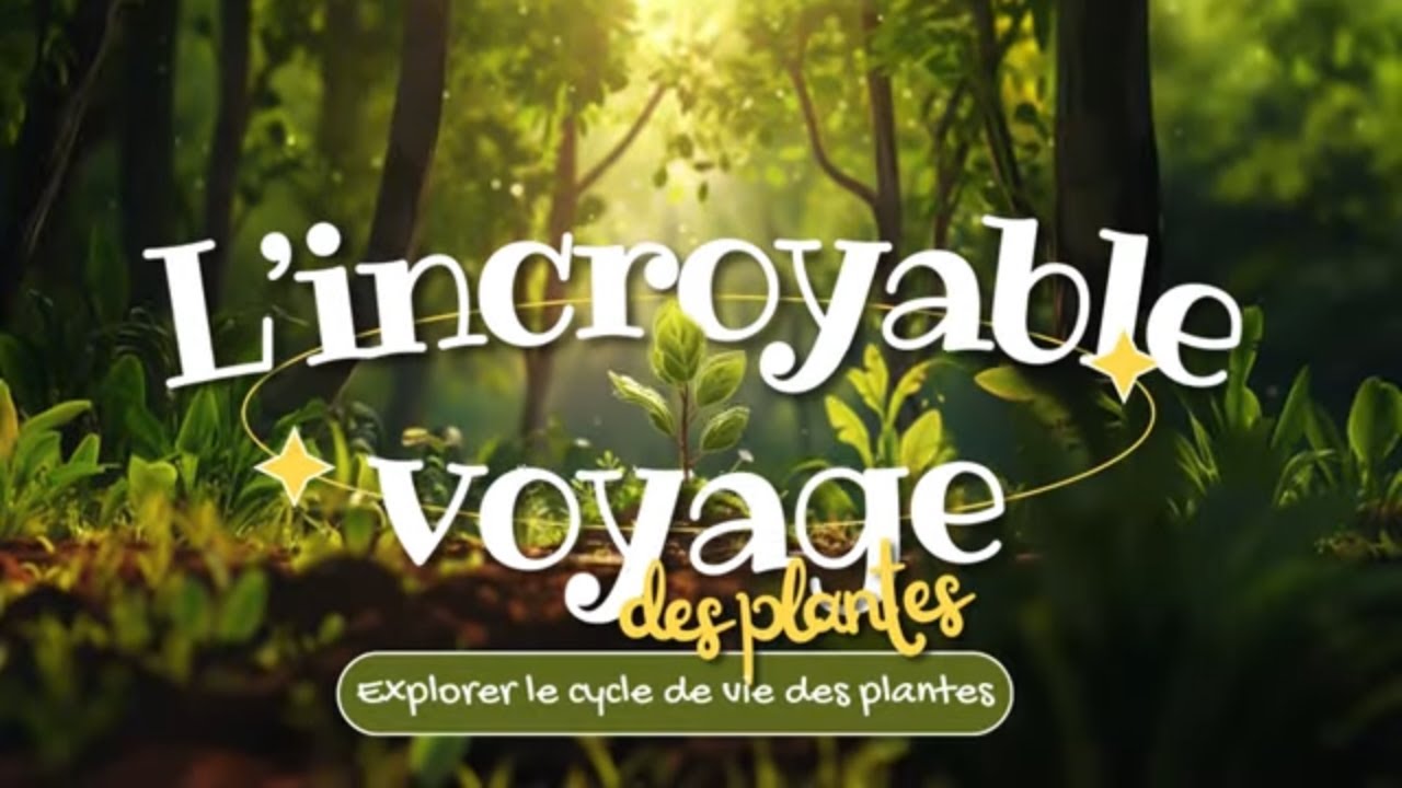 Le cycle de vie des plantes expliqué aux enfants - YouTube