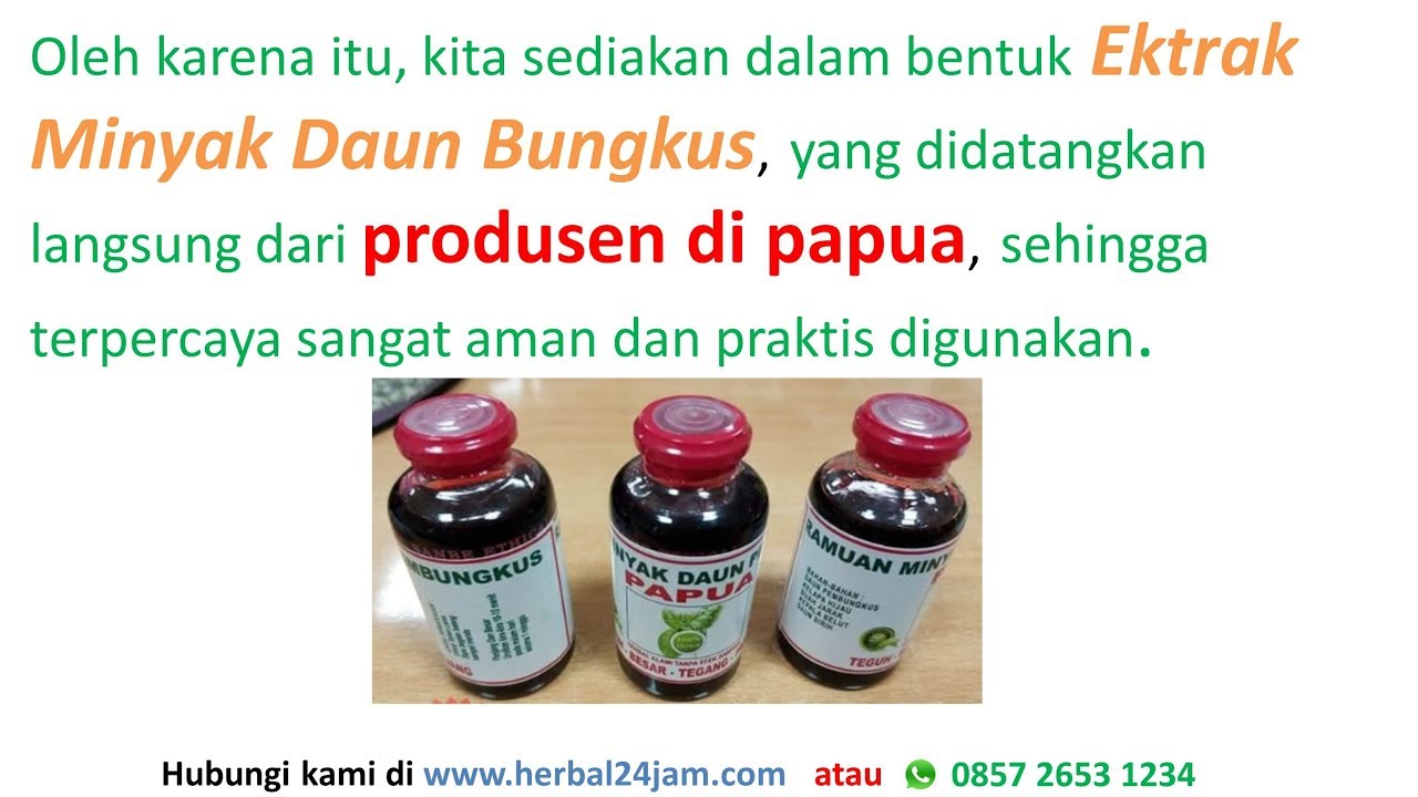 minyak daun bungkus papua | wa 085726531234 - YouTube
