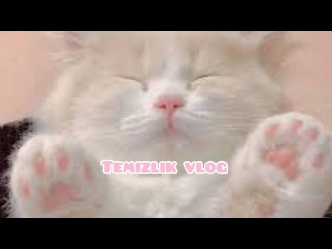 Temizlik Vlog