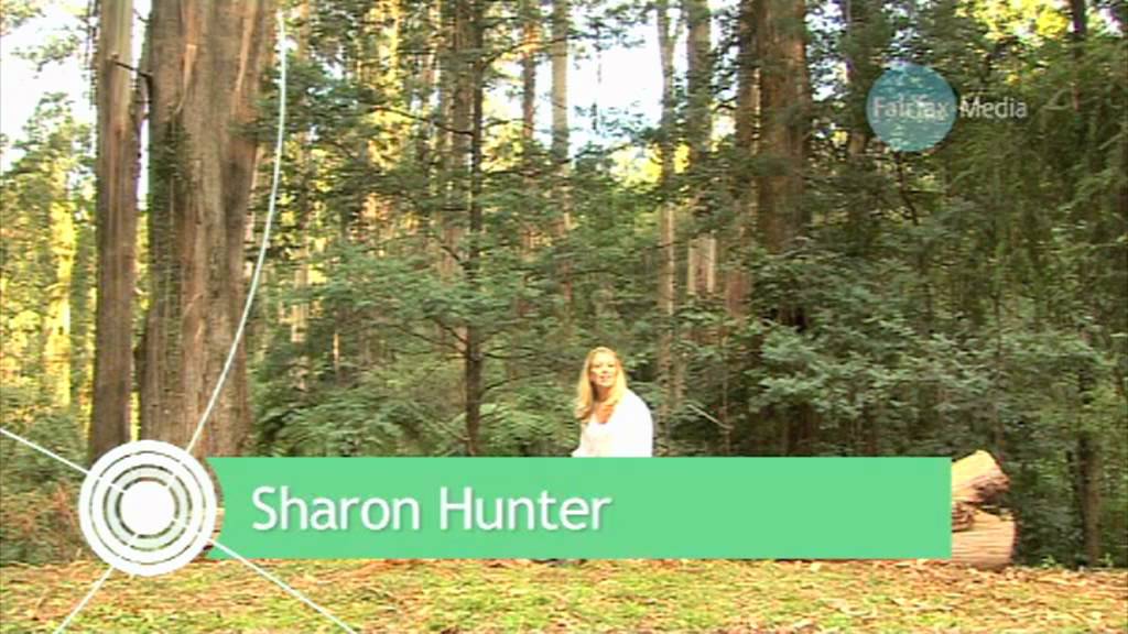 Sharon Hunter - Showreel - YouTube