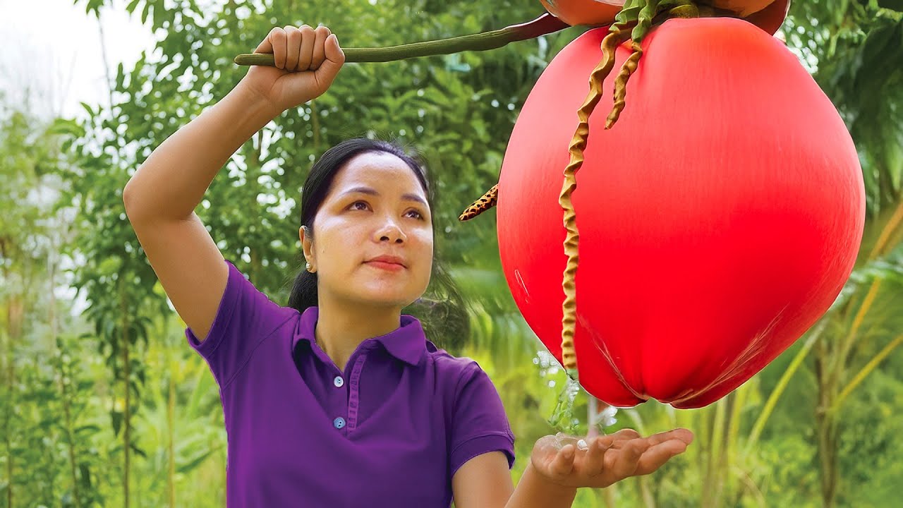 Harvesting a Giant Red Fruit in the Countryside – Peaceful Village Life ...