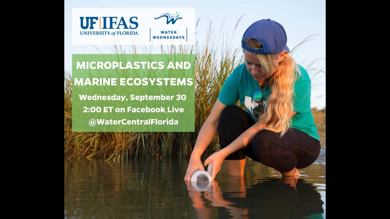 Water Wednesdays - Microplastics and Marine Ecosystems - YouTube