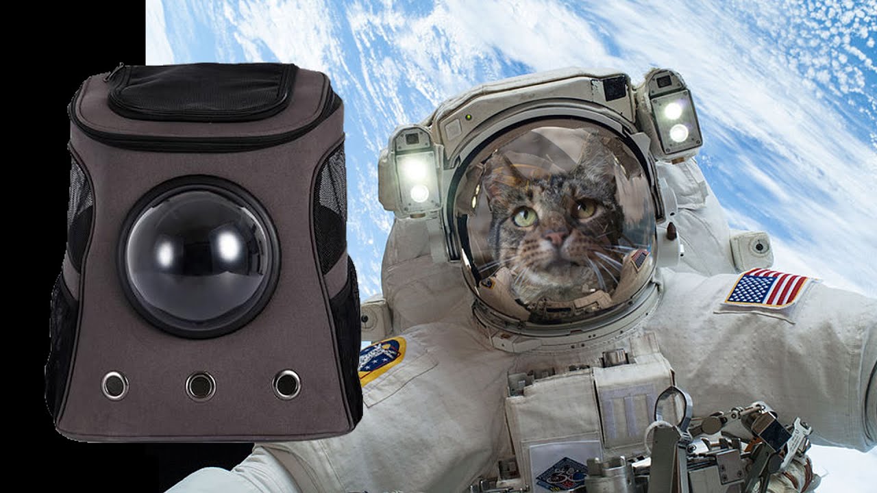 Space Capsule Cat Carrying Backpack - YouTube