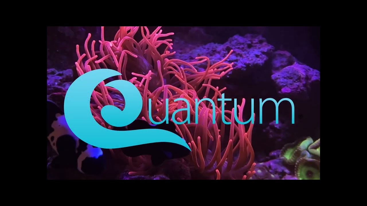 Welcome to Quantum! - YouTube