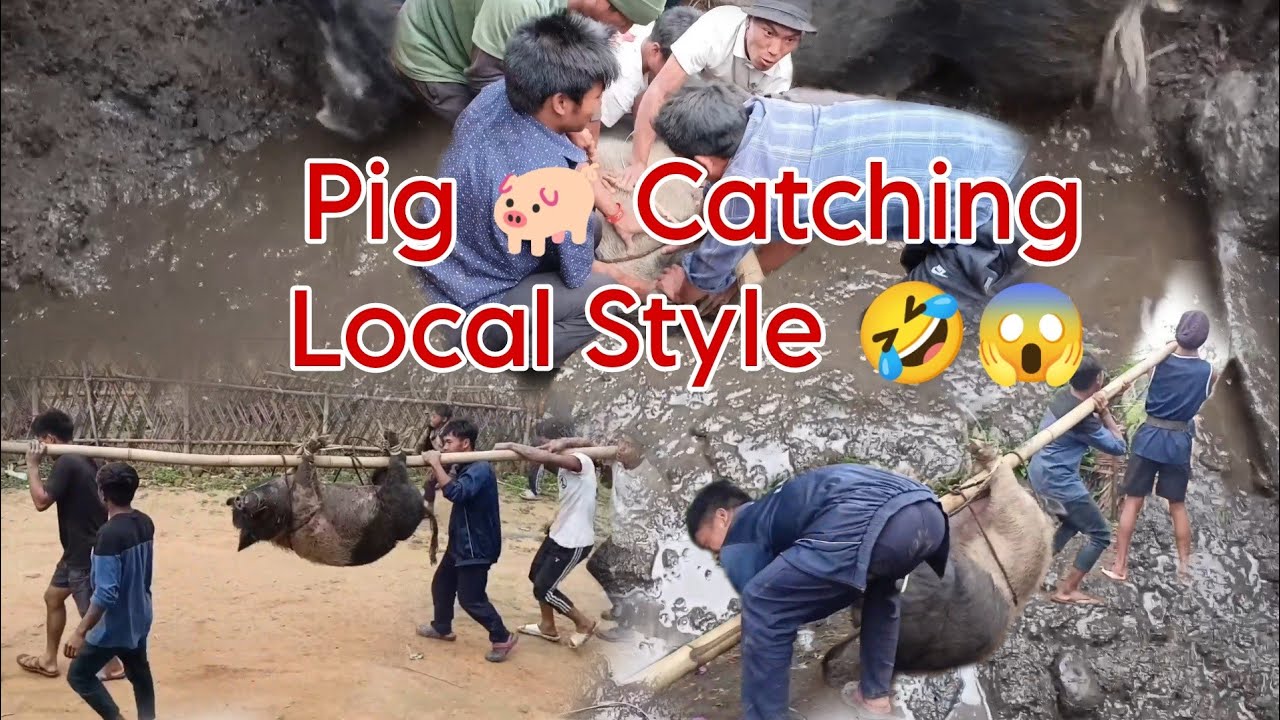 Pig Catching Local Style 🐖 🤣😱 ll Akhunglai - YouTube