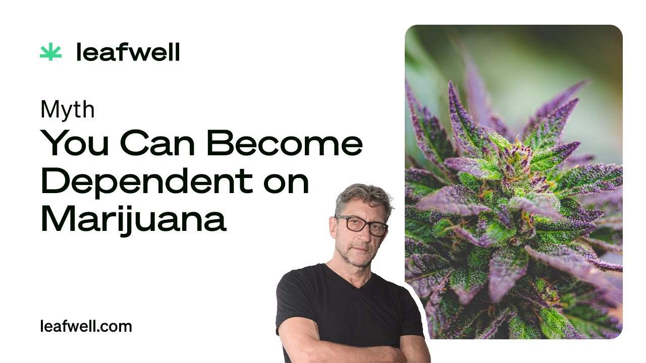 Can You Become Dependent On Cannabis YouTube can-you-become-dependent-on-cannabis-youtube