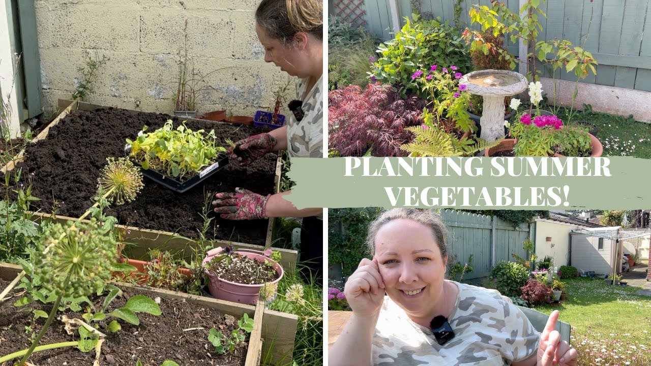 Planting lots of summer vegetables, plans for the house & how it's ...