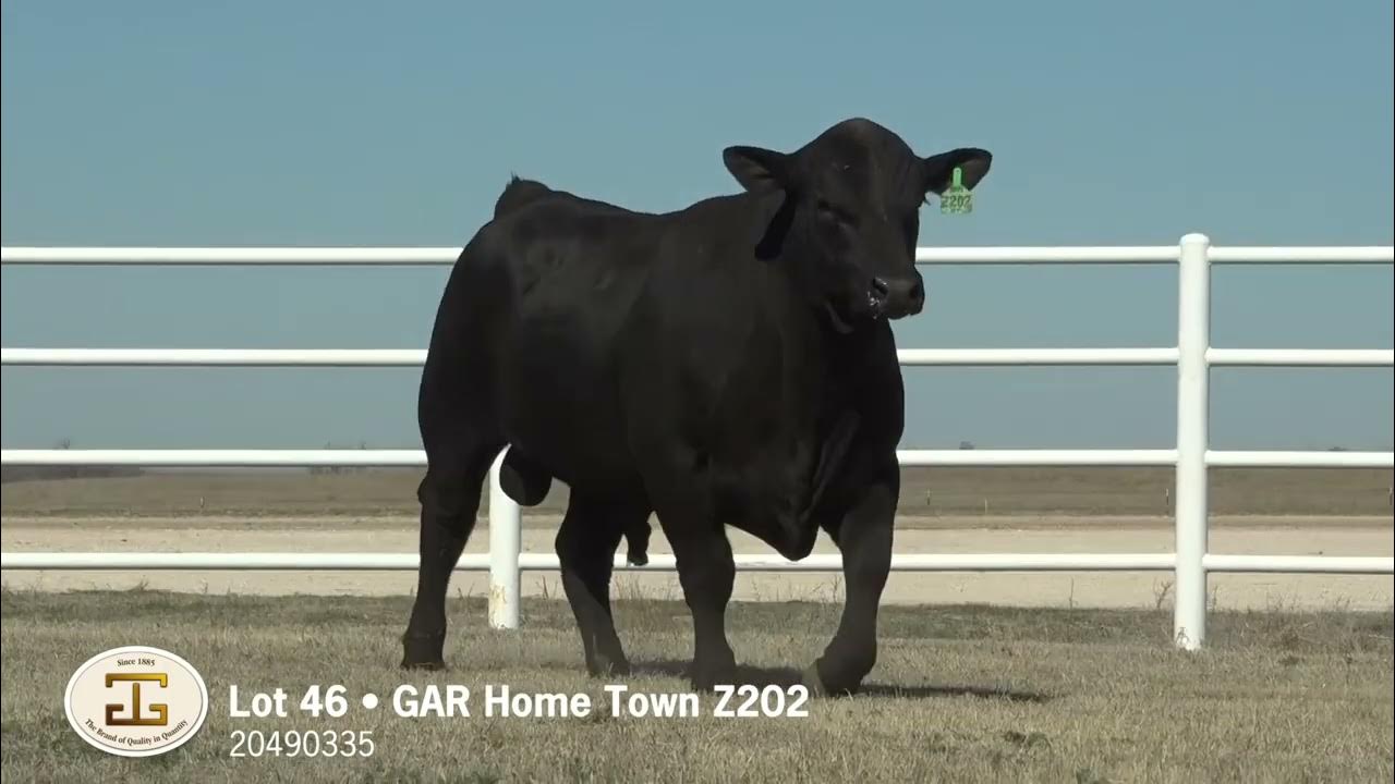 Lot 46, G A R Home Town Z202 - YouTube