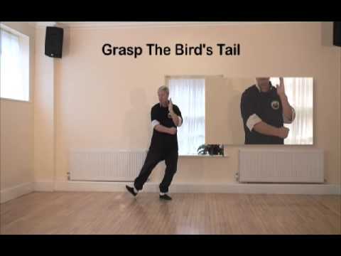 Beginners Lee Style Tai Chi short form DVD introduction - YouTube