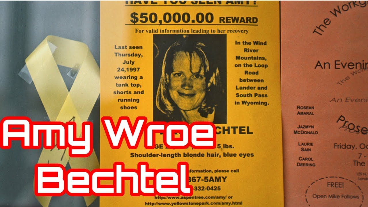 What happened to Amy Wroe Bechtel? People who vanished without a trace ...