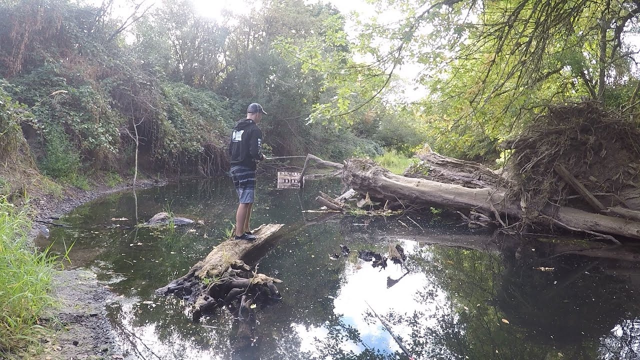 Exploring Rickreall Creek for Smallmouth Bass - YouTube