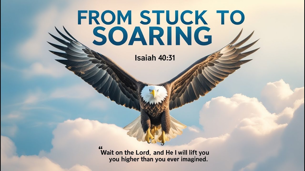 DAILY BLESSINGS ⏩ From Stuck to Soaring: Embracing God’s Power to ...