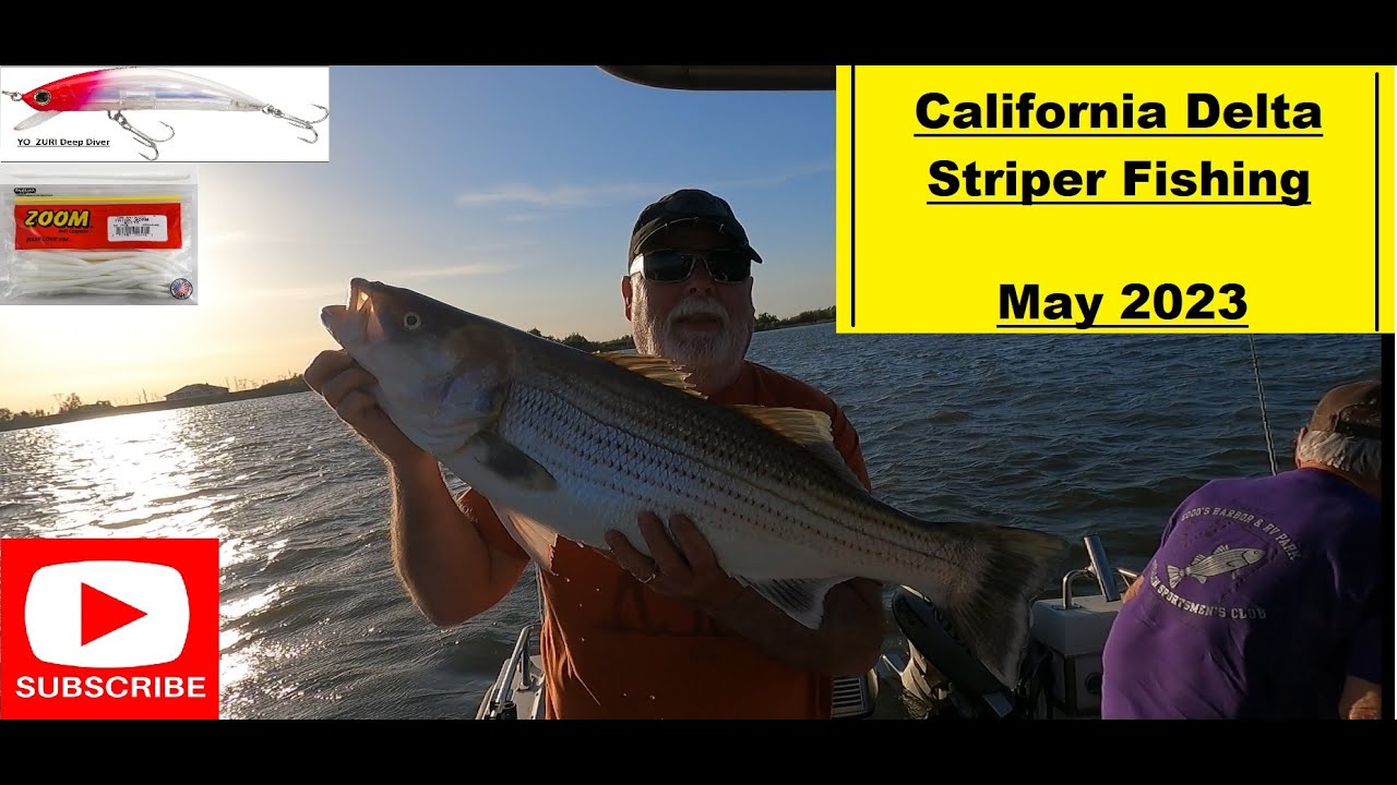 California Delta Striper Fishing Techniques