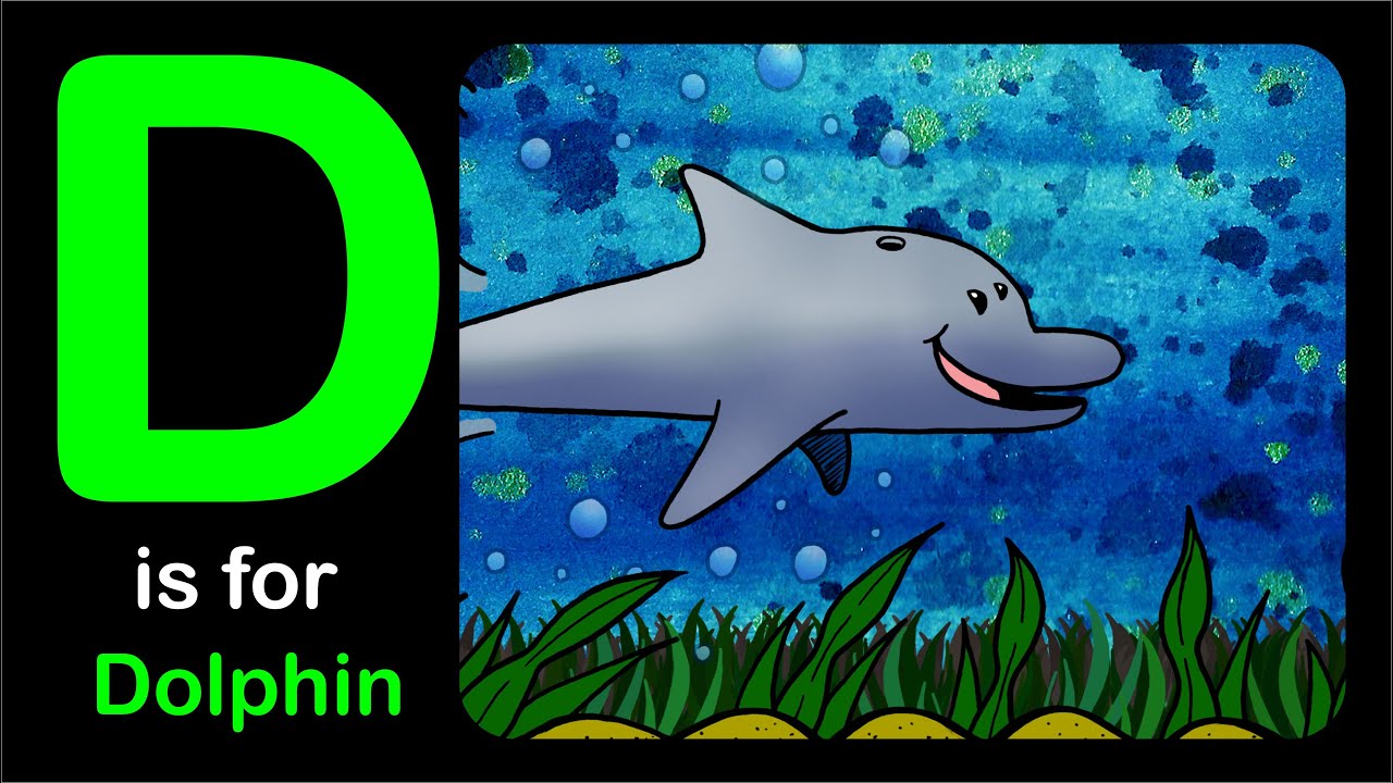 D is for Danny the Dolphin (an ABC Animal Story for kids) - YouTube