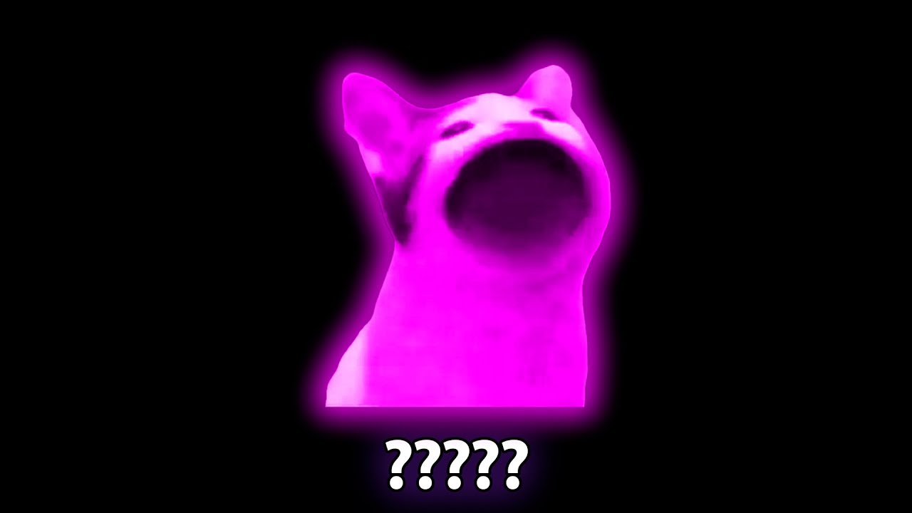 11 Pop Cat Sound Variations in 50 Seconds - YouTube