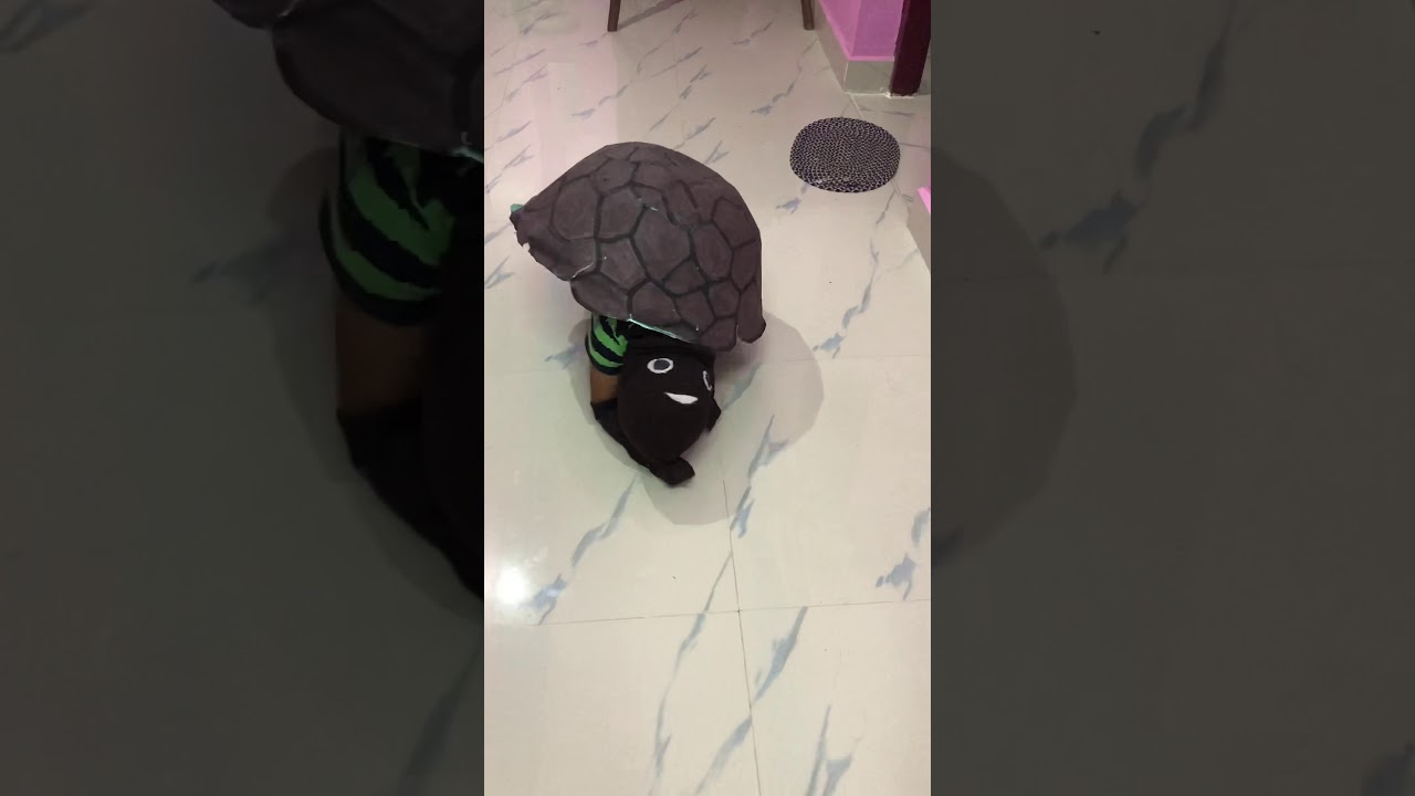 Fancy Dress - Tortoise Fancy dress - YouTube