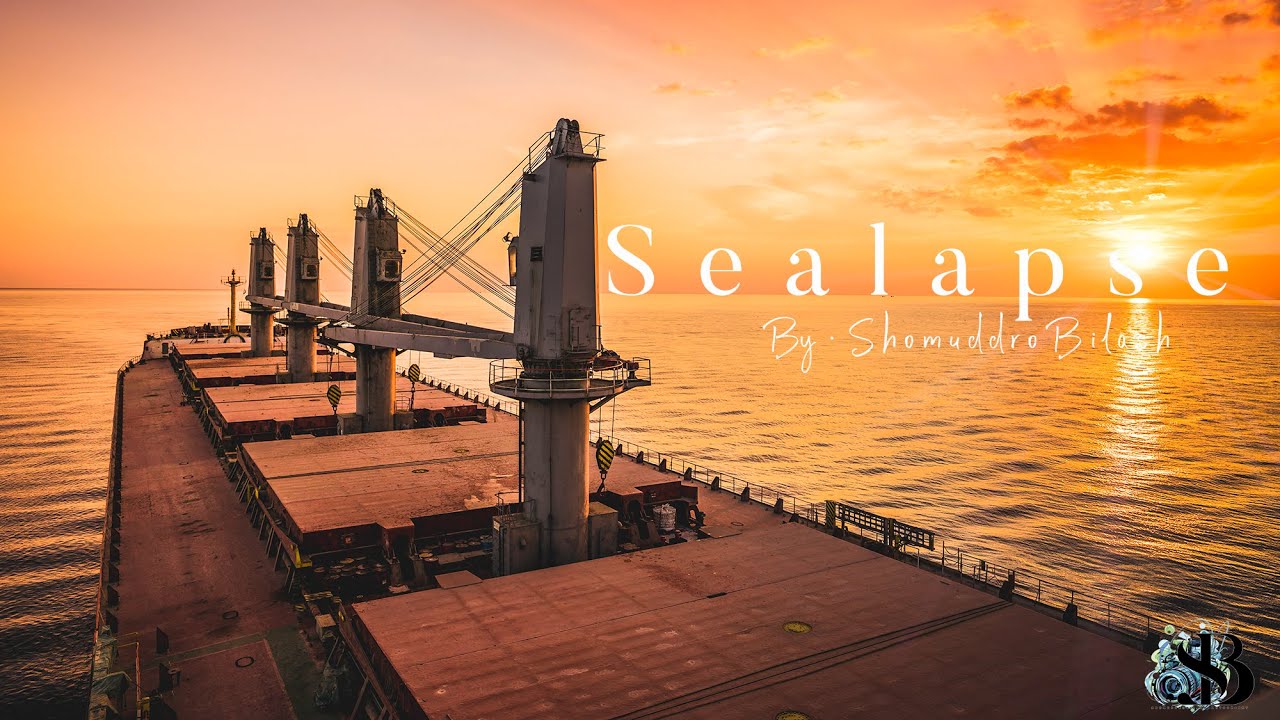 S E A L A P S E YouTube s-e-a-l-a-p-s-e-youtube