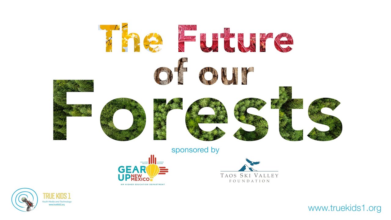 The Future of Our Forests Trailer - YouTube