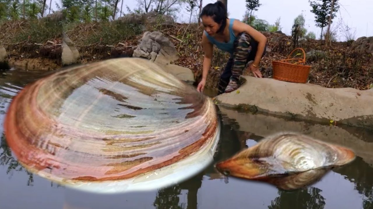 A female college student discovered a mutated giant river clam with ...