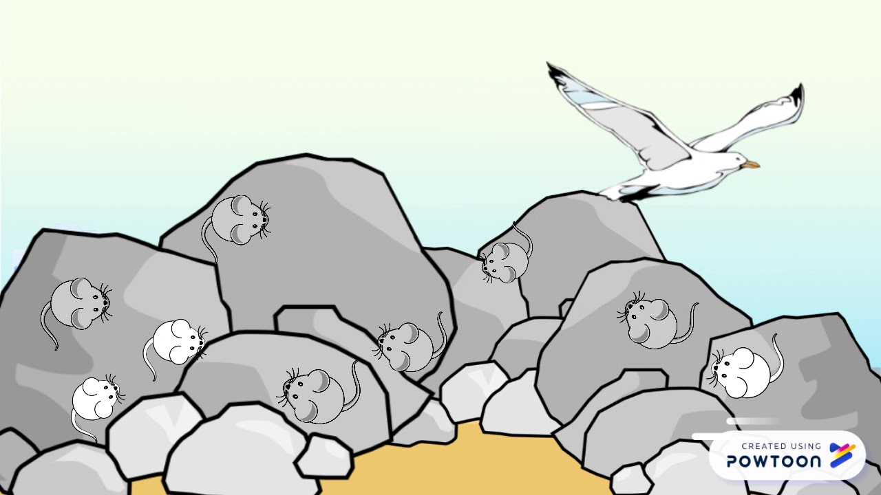 Natural Selection Mice Video - YouTube