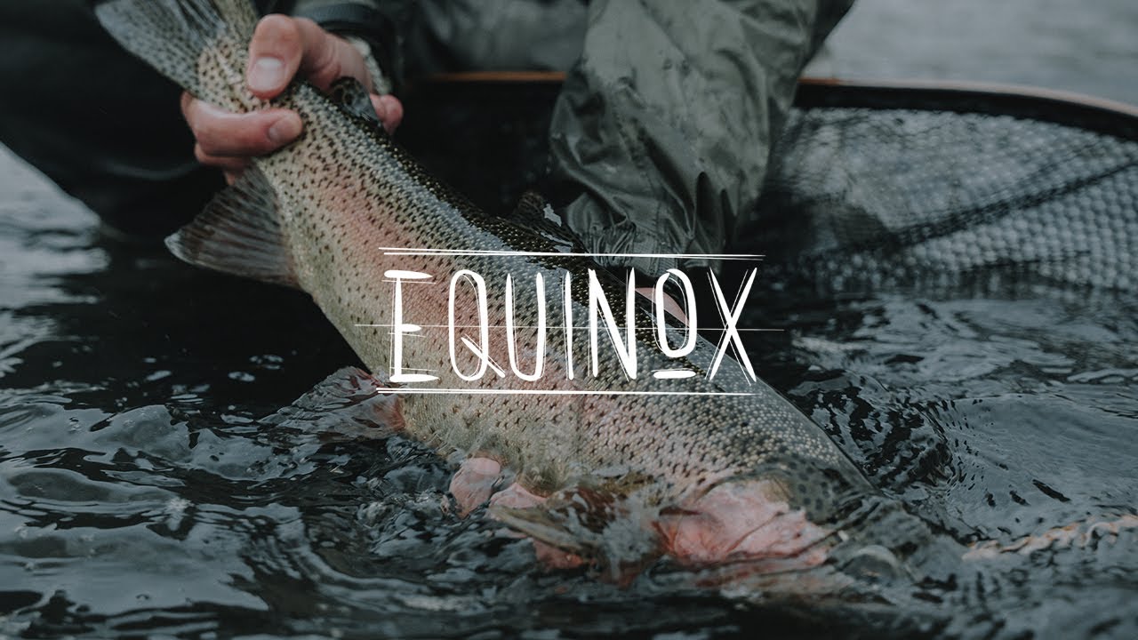 EQUINOX | Testing Kelly Galloup Streamers on the Missouri (Montana Fly ...