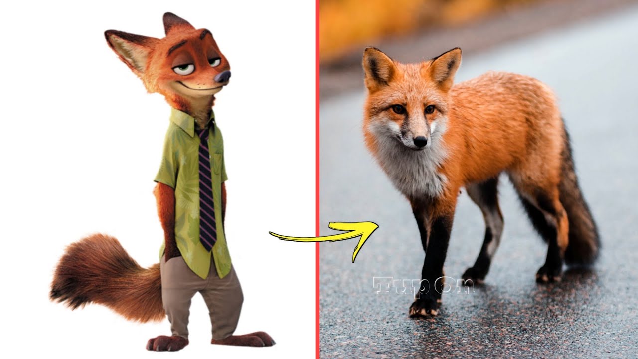 Zootopia Characters In Real Life - YouTube
