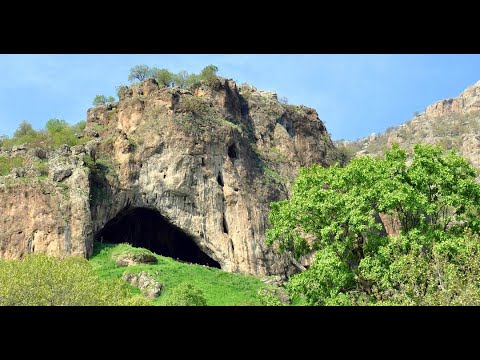 Neanderthal Flower Burial, Near Extinction, and Geometric Art in Sand ...