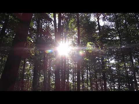Sanando con Reiki - YouTube